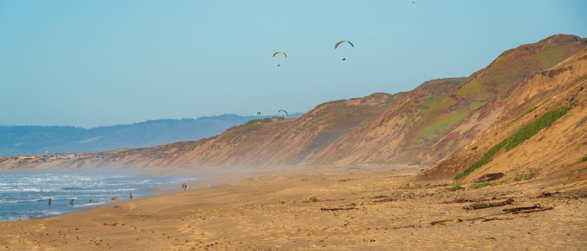 Volunteer Dune Restoration at Fort Ord Dunes State Park | California ...