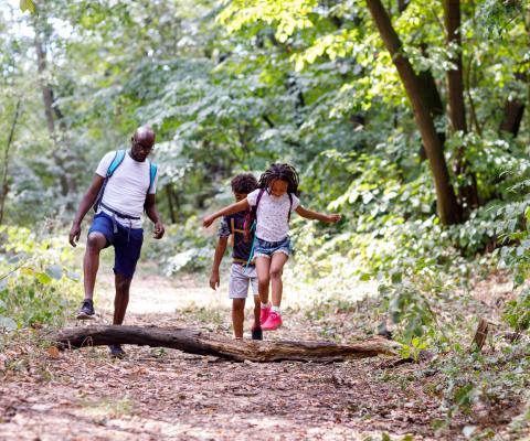 California State Library Parks Pass | Cal Parks