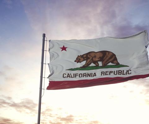 Governor Newsom’s 2025–2026 Budget Proposal: What It Means for ...