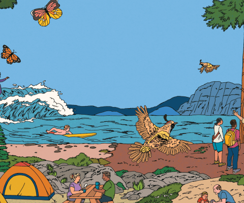 “Best of California’s State Parks” Poll Highlights Beloved Places for ...