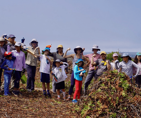 During Earth Month, Take Climate Action and Volunteer at a California ...