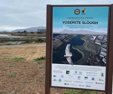 Celebrating Yosemite Slough